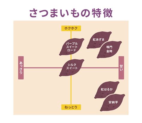 さつまいもの種類を知って、食欲の秋を満喫しよう！｜野菜科学研究会