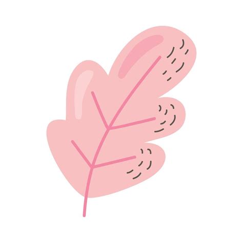 Pink Leaf Plant 11123921 Vector Art At Vecteezy