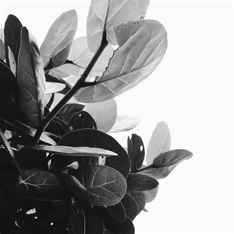 Adele Wang Author Speaker Coach Motivator Stand Out Inspire