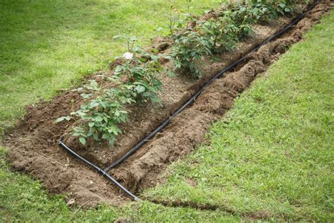 Soaker Hose Look Ma No Hands Irrigation