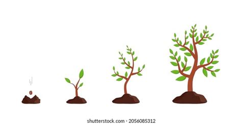 466243 새싹 스톡 벡터 이미지 및 벡터 아트 Shutterstock