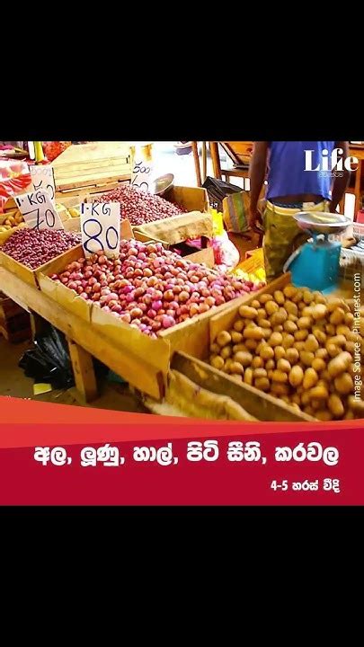 කොළඹ ගියාට බඩුගන්න මෙන්න තියන තැන් හරියටම Youtube