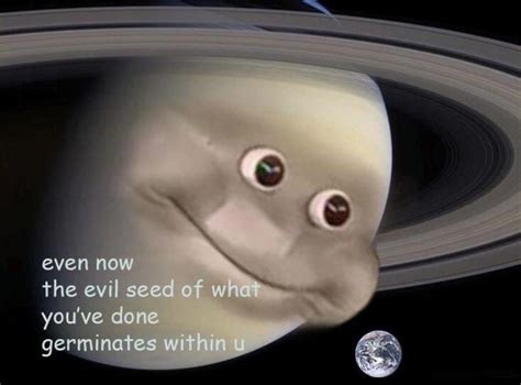 Appleman R Pizzatower