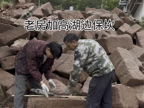挖别人墙角拉回的条石加高湖边保坎。 阿韬回乡改造日记 阿韬回乡改造日记 哔哩哔哩视频