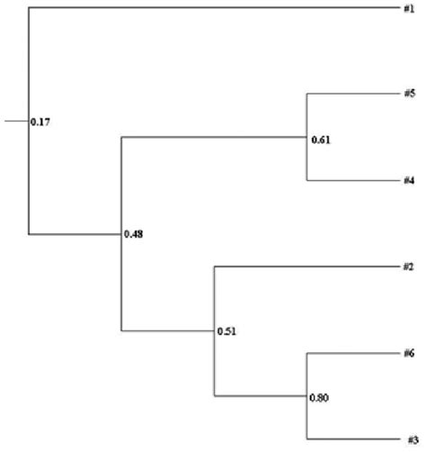unweighted pair group method with arithmetic mean dendro dendrograms