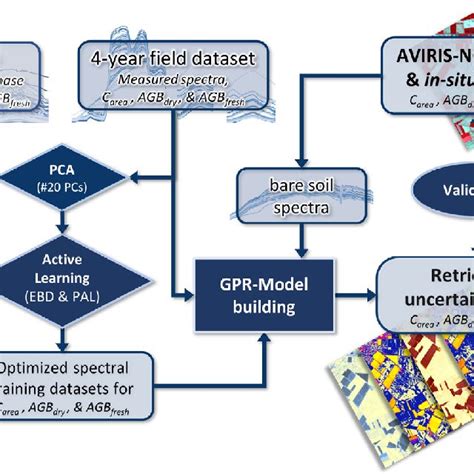 Schematic Workflow For Carbon And Biomass Mapping Download Scientific Diagram