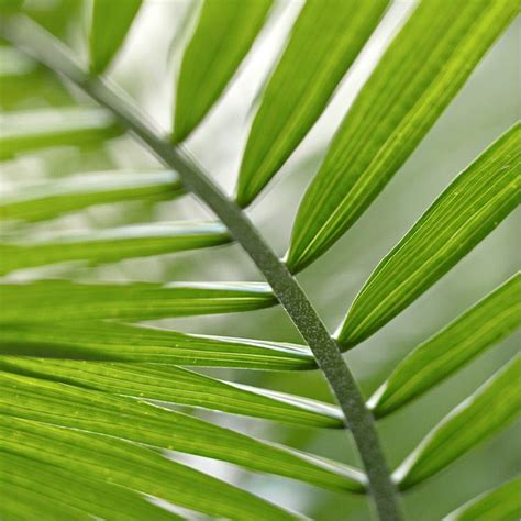 1000 Images About Patio Paradise On Pinterest String Lights Allen Roth And Patio Accessories