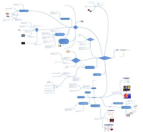 Human Infection And Immunity Coggle Diagram Human Infection And Immunity Coggle Diagram