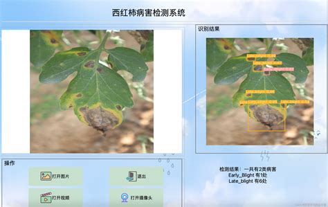 西红柿叶病害检测（yolov8模型，从图像、视频和摄像头三种路径识别检测，包含登陆页面、注册页面和检测页面）番茄叶片病害检测 Csdn博客