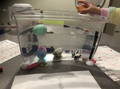 sink or float experiment