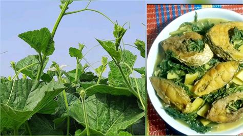 লাউ শাকের গুনাগুন সহ কিভাবে গ্রাম্য পদ্ধতি তে খুব সহজে মাটির চুলায় রান্না করলাম Youtube