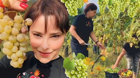 ია ფარულავა კახეთში 🍇 Youtube