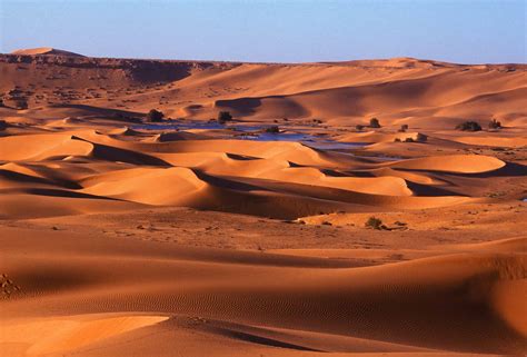 De Sahara Untamed Travelling