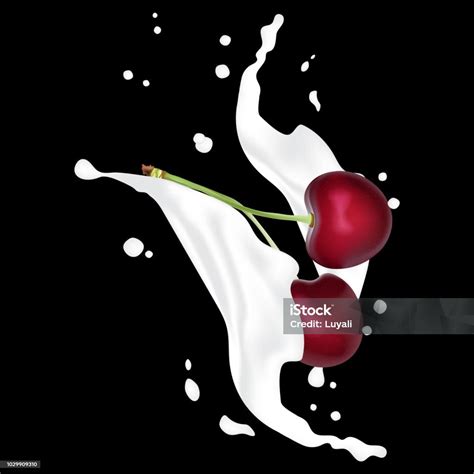 떨어지는 벚꽃 잎 조각 우유 스플래시 3d 그림 크림 붓는 웨이브 요구르트 포장 템플릿 현실적인 유기농 체리 과일 낙농 제품입니다 벡터 검은색에 대한 스톡 벡터 아트 및