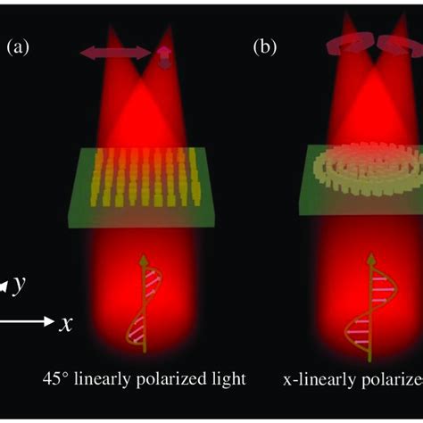 Schematic Of The A Orthogonal Linear Polarization Multiplexing Download Scientific Diagram