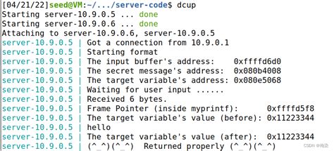 Seedlabs Format String Attack Lab Csdn博客