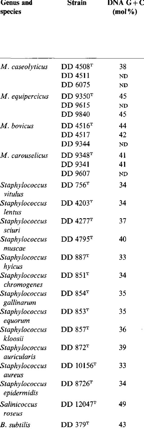 Results Of Hybridization Of Macrococcus Staphylococcus Salinicoccus Download Table