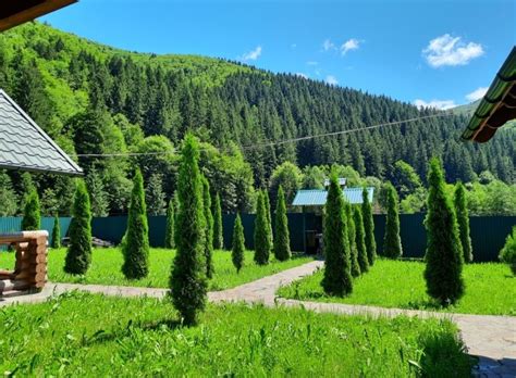 Оренда котеджів в Карпатах 1 000 Довгострокова оренда будинків Колочава на Olx