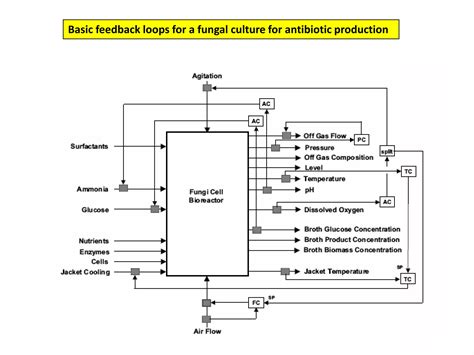 Lecture 3 Bioprocess Control Pptx Physics Science