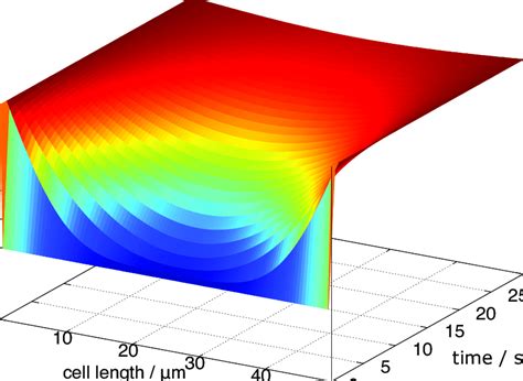 Diffusion Of Iron Coordination Compounds In The Cell The Iron Enters