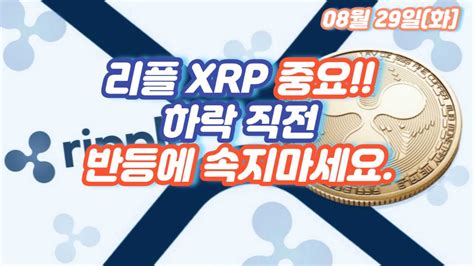 리플 Xrp 중요 하락 직전 반등에 속지마세요 Youtube