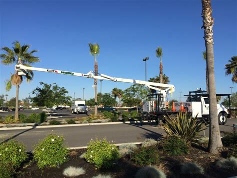 Cordova S Tree Service Tree Removal Fresno Clovis