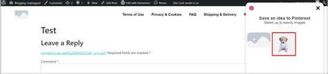 How To Hide Pinnable Images In Wordpress Blog Posts