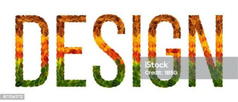 로 작성 된 단어 디자인 화이트 고립 된 배경 색의 인쇄 하 고 창조적인 그림에 대 한 배너 단풍 나뭇잎 0명에 대한 스톡 사진 및 기타 이미지 Istock