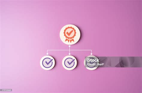 Iso 인증 및 표준화 나무 원에 확인 표시 다이어그램 아이콘 Qc Qa 품질 관리 최고의 서비스 및 최고의 품질 보증 표준 보증 서비스 및 제품 개념 0명에 대한 스톡