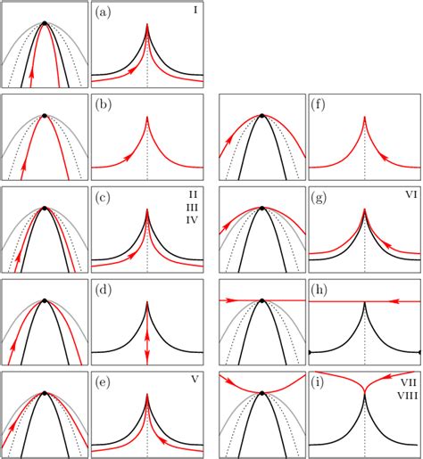 1 sketches of all generic and non generic cases of the cusp cusp
