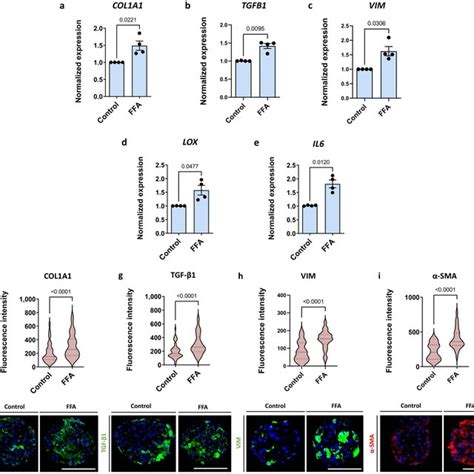 3d Human Liver Spheroids Comprised Of Hepatocytes And Non Parenchymal