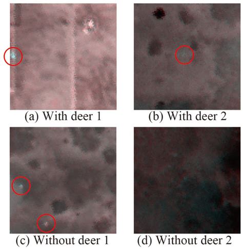 Remote Sensing Special Issue Advancements In Ai Based Remote