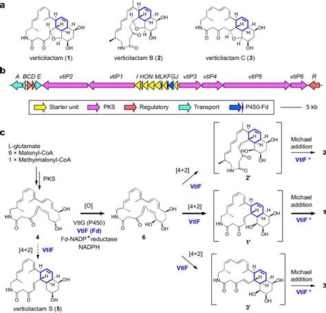Rehan Arshad On Linkedin Iron Sulphur Protein Catalysed 42