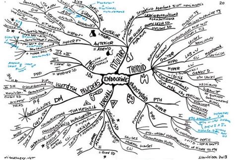 Mind Maps Pathology Skin Ppt