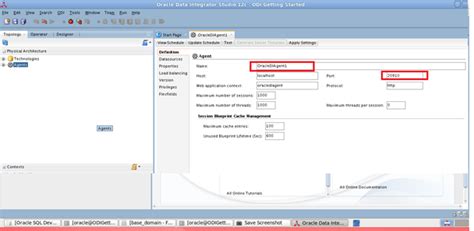 Odi 12c Standalone Agent Configuration
