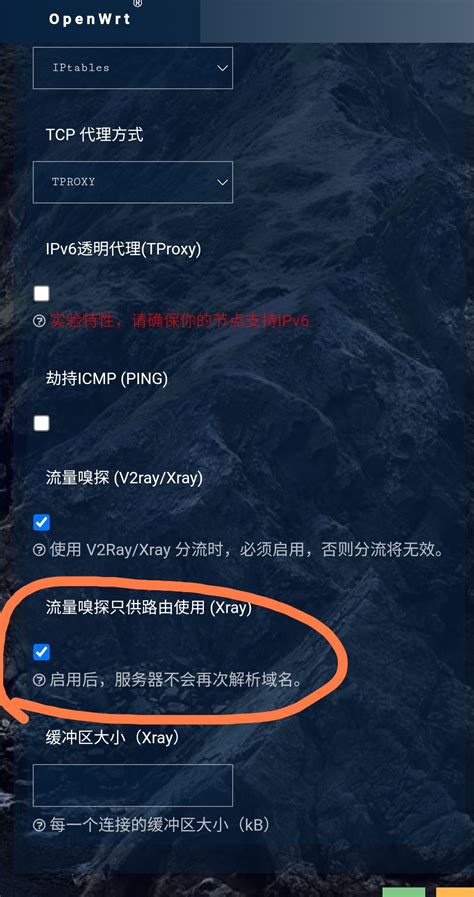 Bug 流量嗅探只供路由使用 Xray 干扰ssl证书 Issue xiaorouji openwrt passwall GitHub
