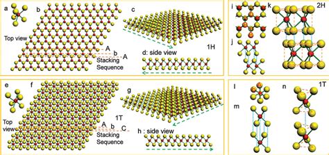 Crystal Structures Of Single‐layer Tmdcs A D 1h Trigonal Prismatic Download Scientific