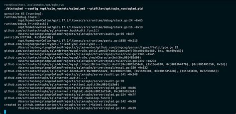 审核规则“必须使用指定数据库字符集”导致panic · Issue 758 · Actiontechsqle · Github