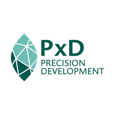 X Marks The Spot Introducing Precision Development Precision Development