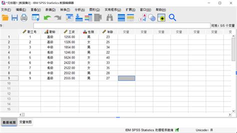 用spss对数据进行分类汇总 Ibm Spss Statistics 中文网站