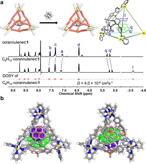 Ternary Complex Formation A Scheme Of The Binding Of Corannulene And
