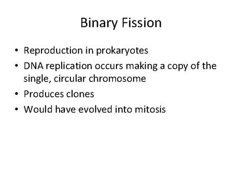 Unit Review Cell Division Cell Signaling Binary