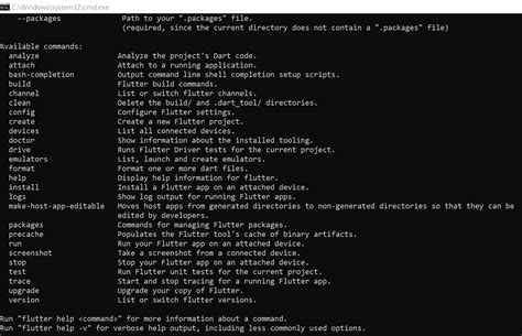Flutter Basic Knowledge And First Step To Coding Web Development And Tech Blog Spiceworks Myanmar