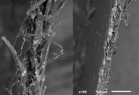 Paper Cut Under A Microscope At Jason Rocha Blog