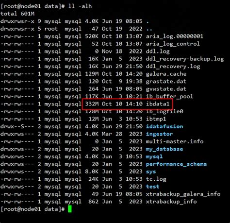 [mdev 32414] [mariadb galera] there is one node in a 3 node cluster