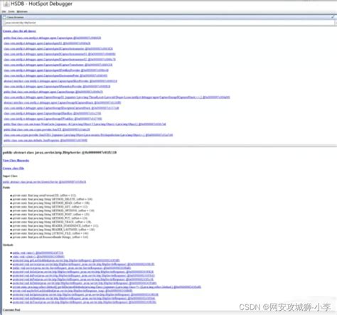 【网络安全】agent内存马的自动分析与查杀java Agent内存马 Csdn博客