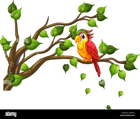 Tree Branch Isolated On White Background Illustration Stock Vector