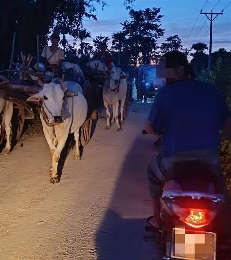 စစ်တပ်က ပစ်တဲ့လက်နက်ကြီးထိမှန်လို့ လက်ယက်ကုန်းက အမျိုးသမီး ၁ ဦးသေဆုံးပ