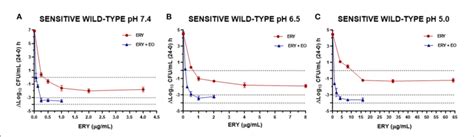 Figure E Graphic Representation Of The Antibacterial Eeect E Log