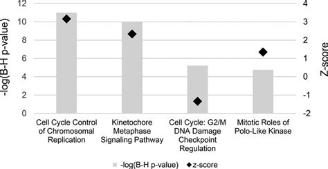 Main Enriched Canonical Pathways After Hiv Mva B Vaccination As Prime Download Scientific
